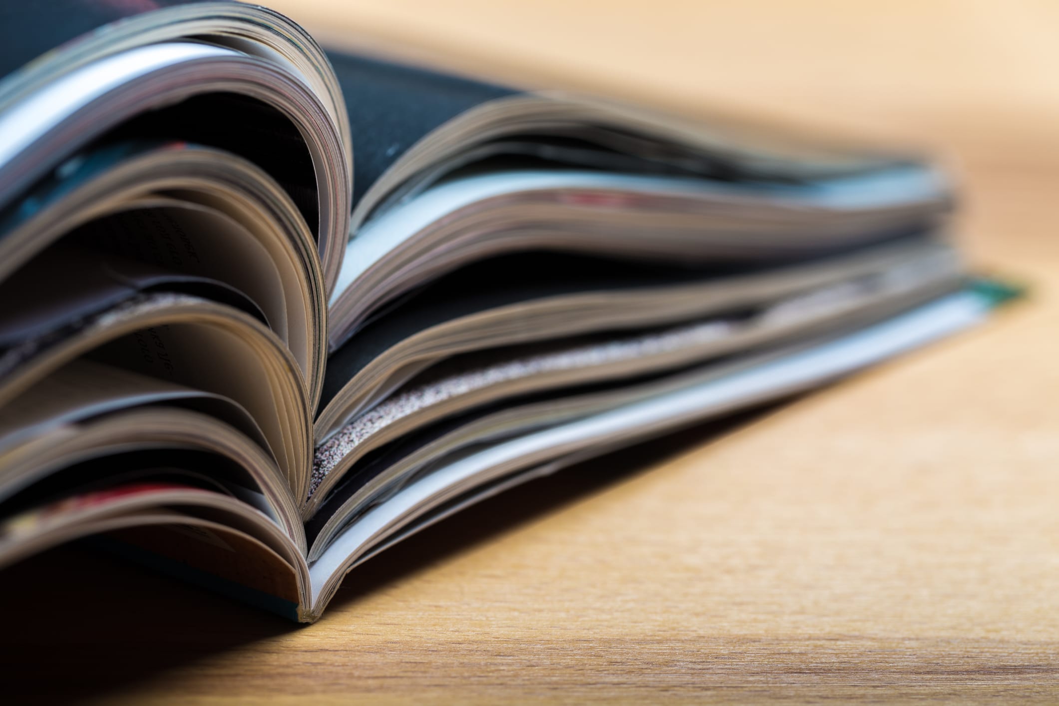 Sandra Lee Launches New Print Magazine