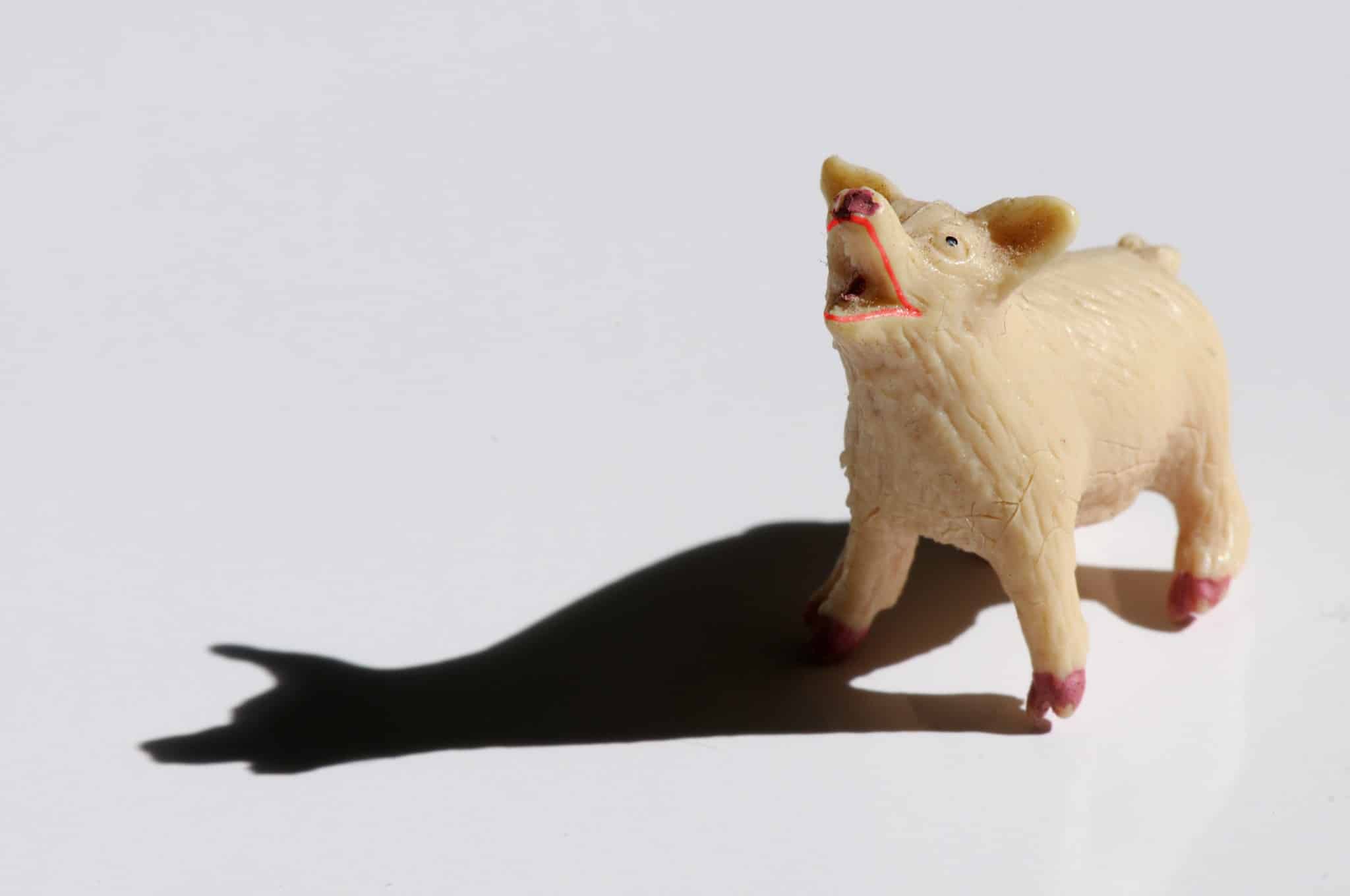 Will The EU s Ban On Animal Testing Affect The U S Market will-the-eu-s-ban-on-animal-testing-affect-the-u-s-market